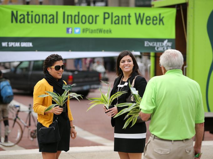 How Did You Celebrate National Indoor Plant Week?