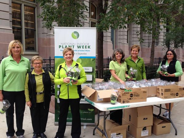 How Did You Celebrate National Indoor Plant Week?