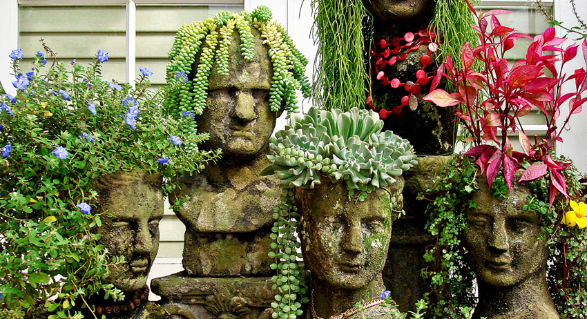 Evidence: Plants Are Smarter Than We Think