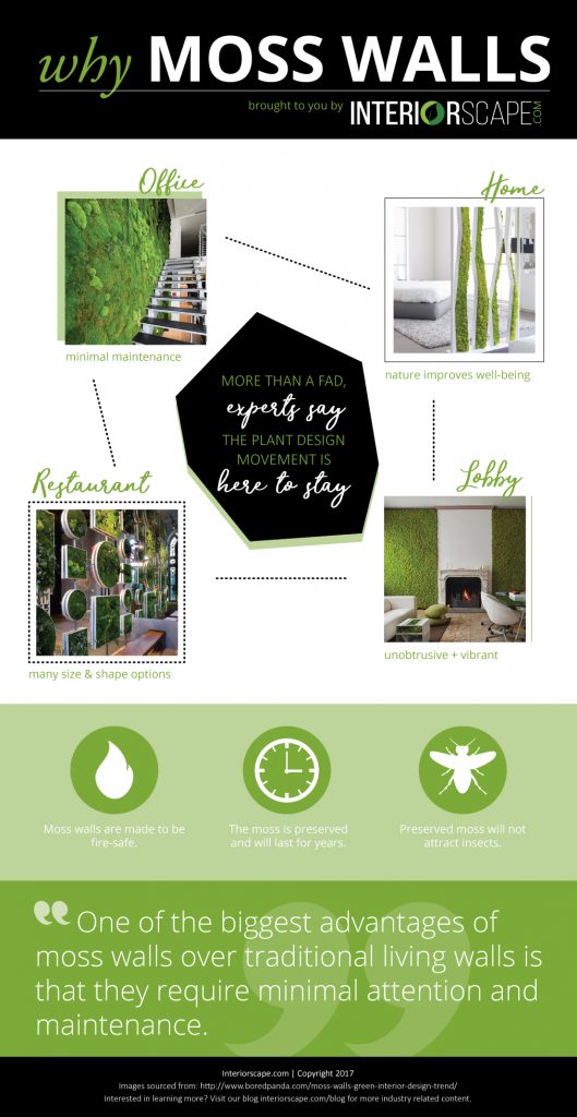 Why Moss Walls [Infographic]