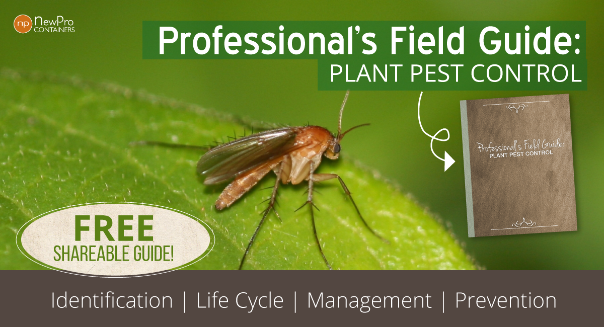 PestGuideGraphic-1 | NewPro Blog