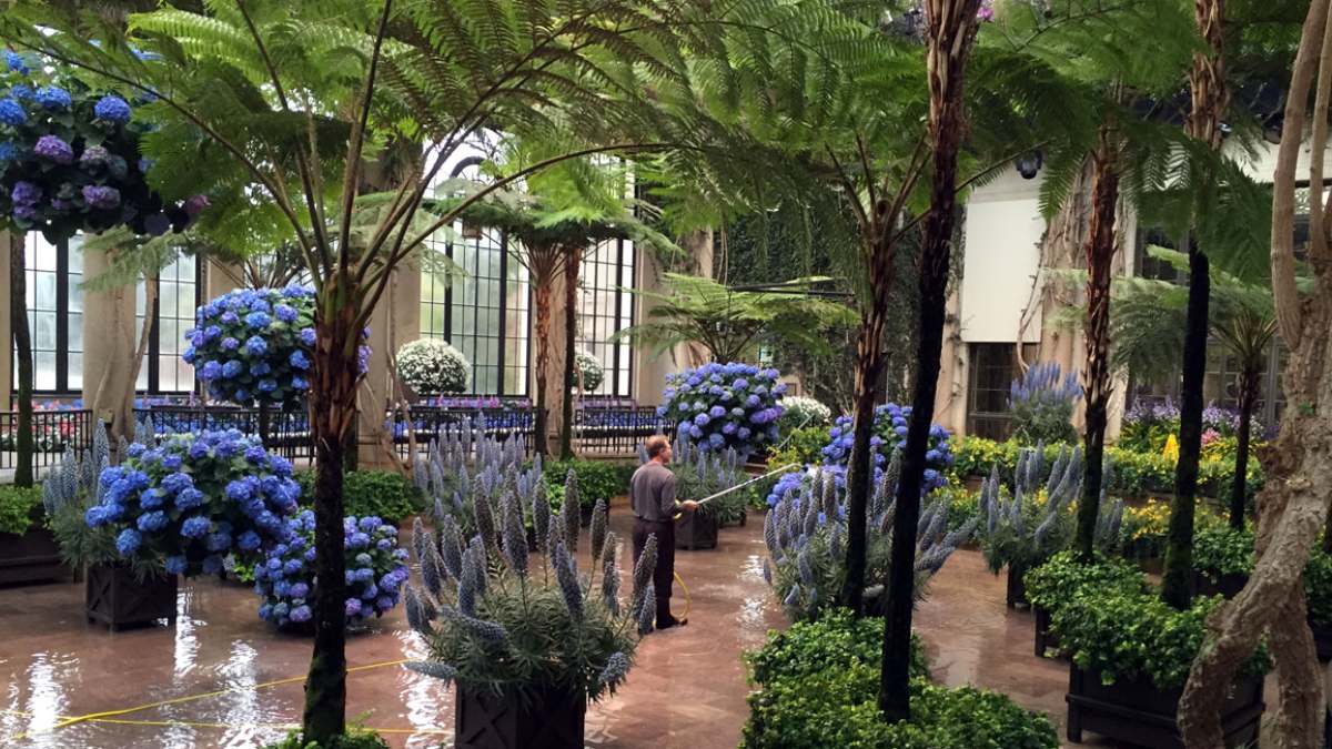 Plant-Tech-T | NewPro Blog