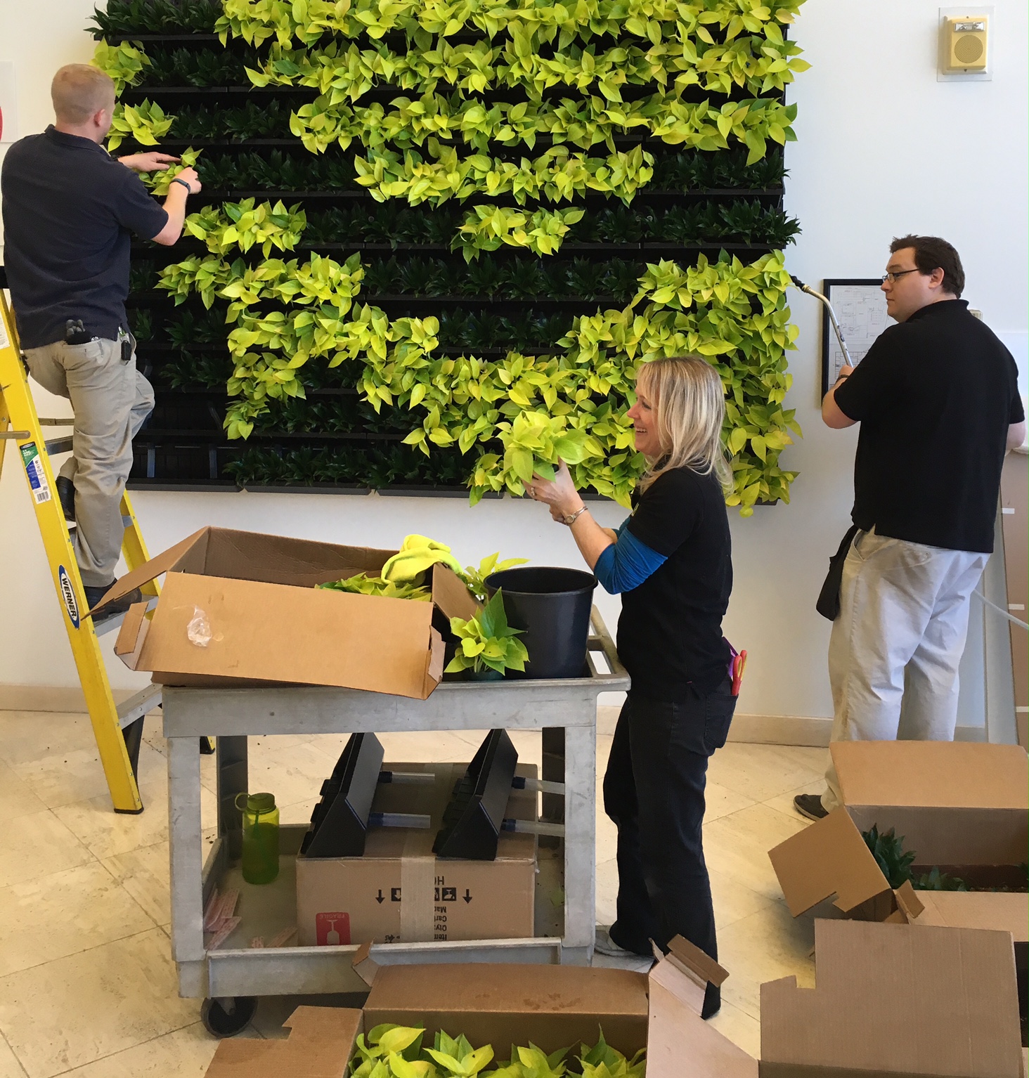 Interview with a Plant Advocate: Chris Raimondi, New Jersey