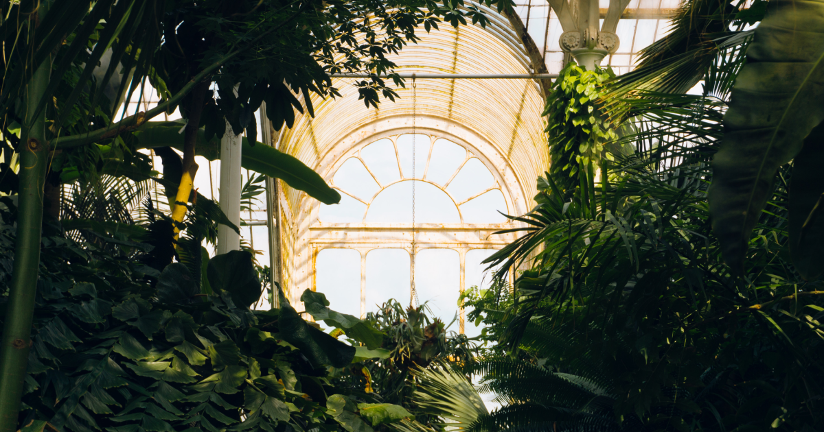 Aesthetic Atrium Plant Design with Practicality In Mind