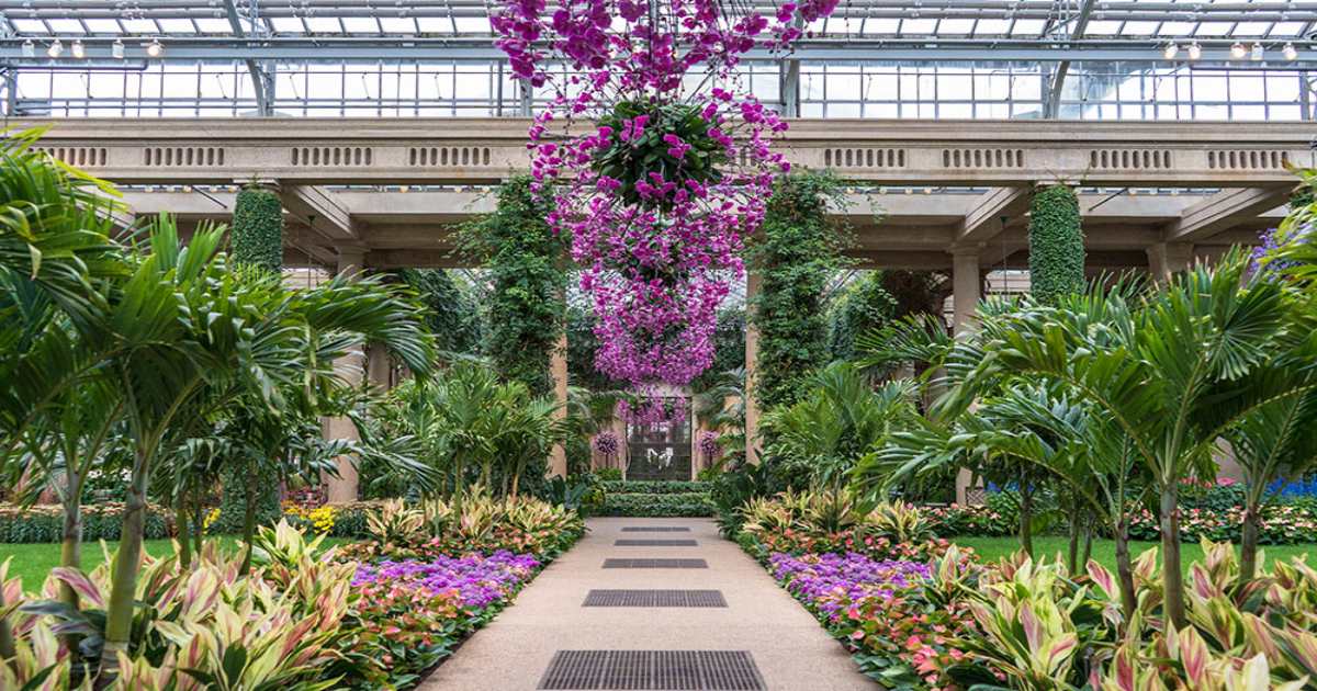 5 Expert Tips for Easy Atrium Maintenance