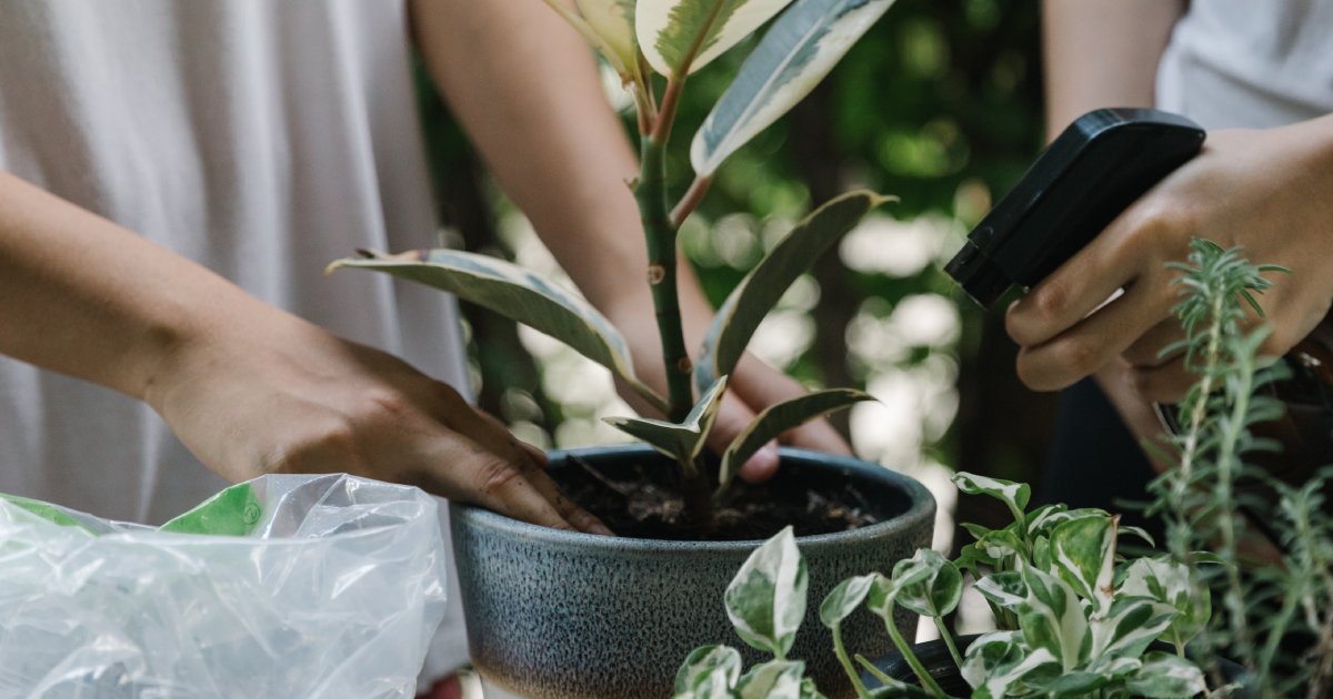 Making the Most of Check-In Meetings With Employees