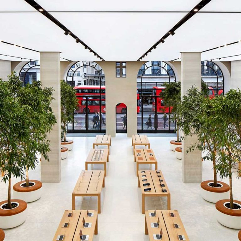 Biophilic Design in Commercial Spaces: The Power of Plants in Various ...