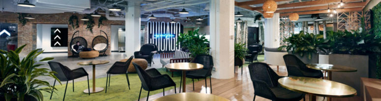 8 Cool Examples of Biophilic Design in the Workplace