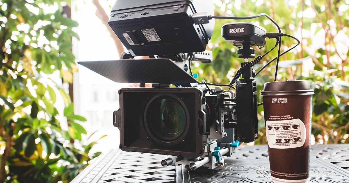 Reel Greenery: Transforming Film Sets With Plant Rentals