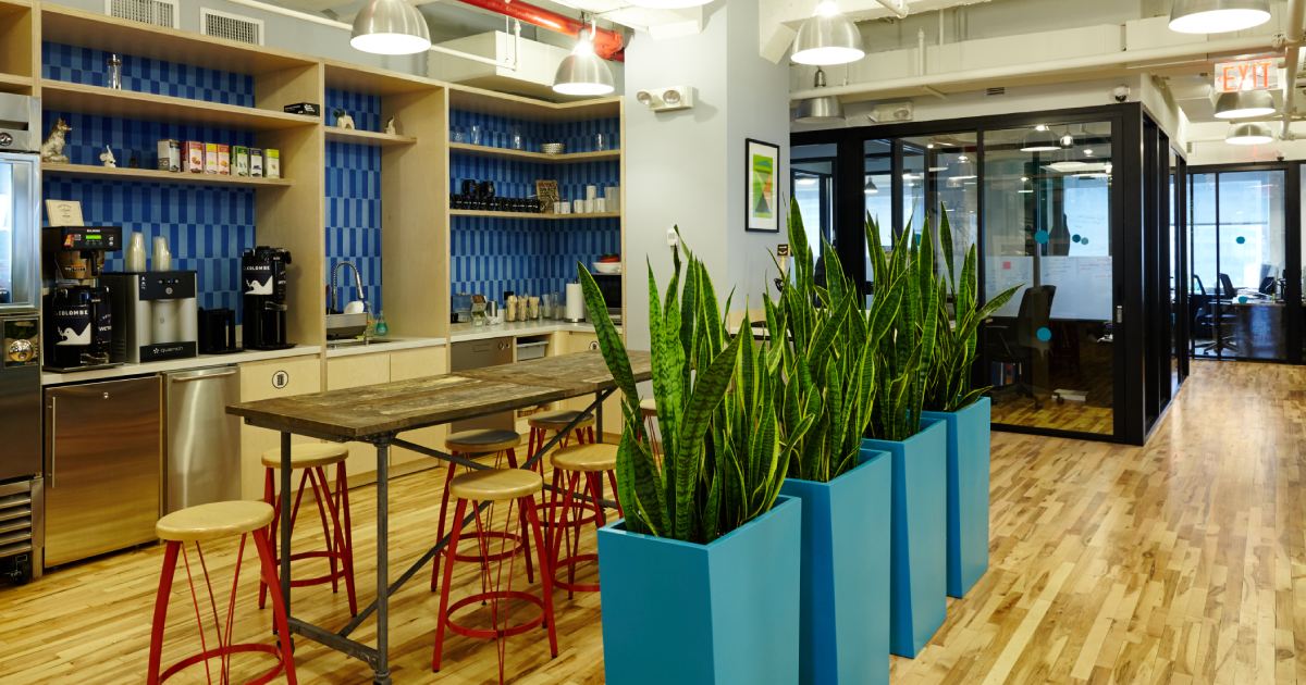 Why Interiorscape Design Matters for First Impressions | NewPro