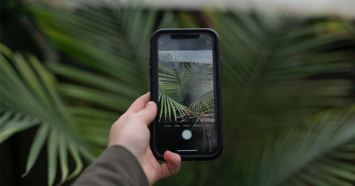 Capturing Interior Landscapes: An iPhone Photography Guide for ...