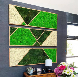 Starting Stories: Michael Creath with Planthropy