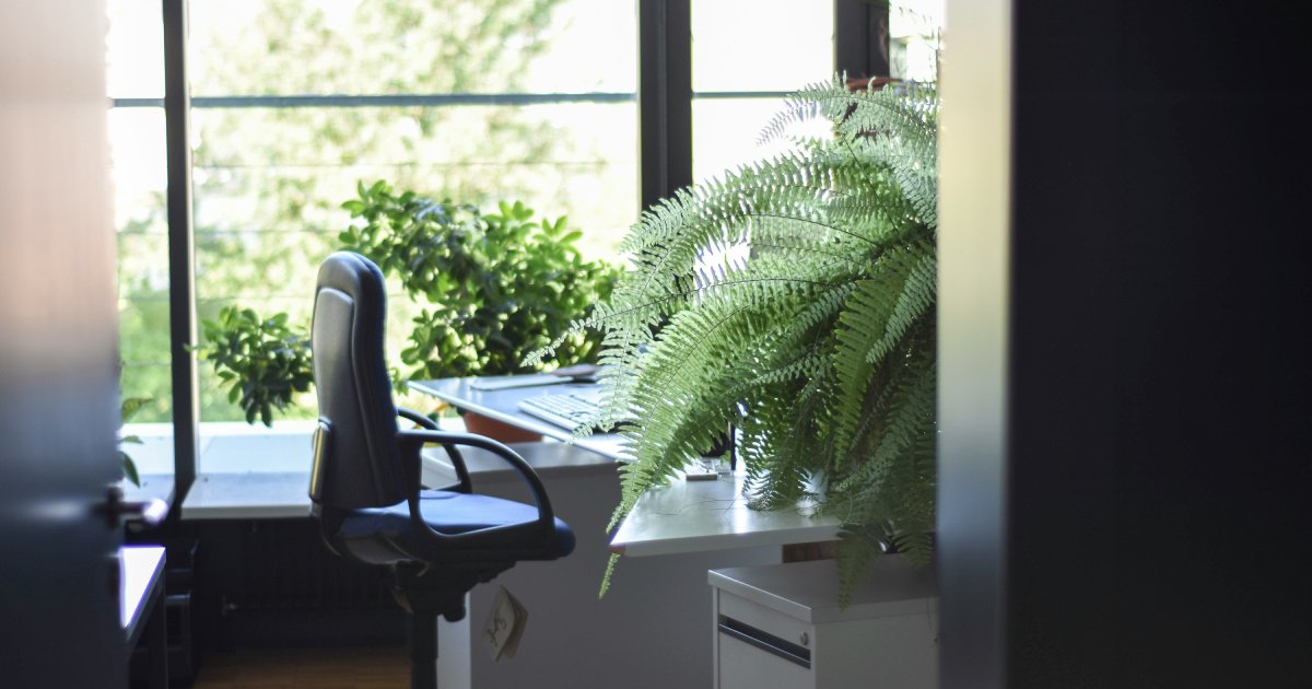 Managing Personal Plants in Commercial Settings