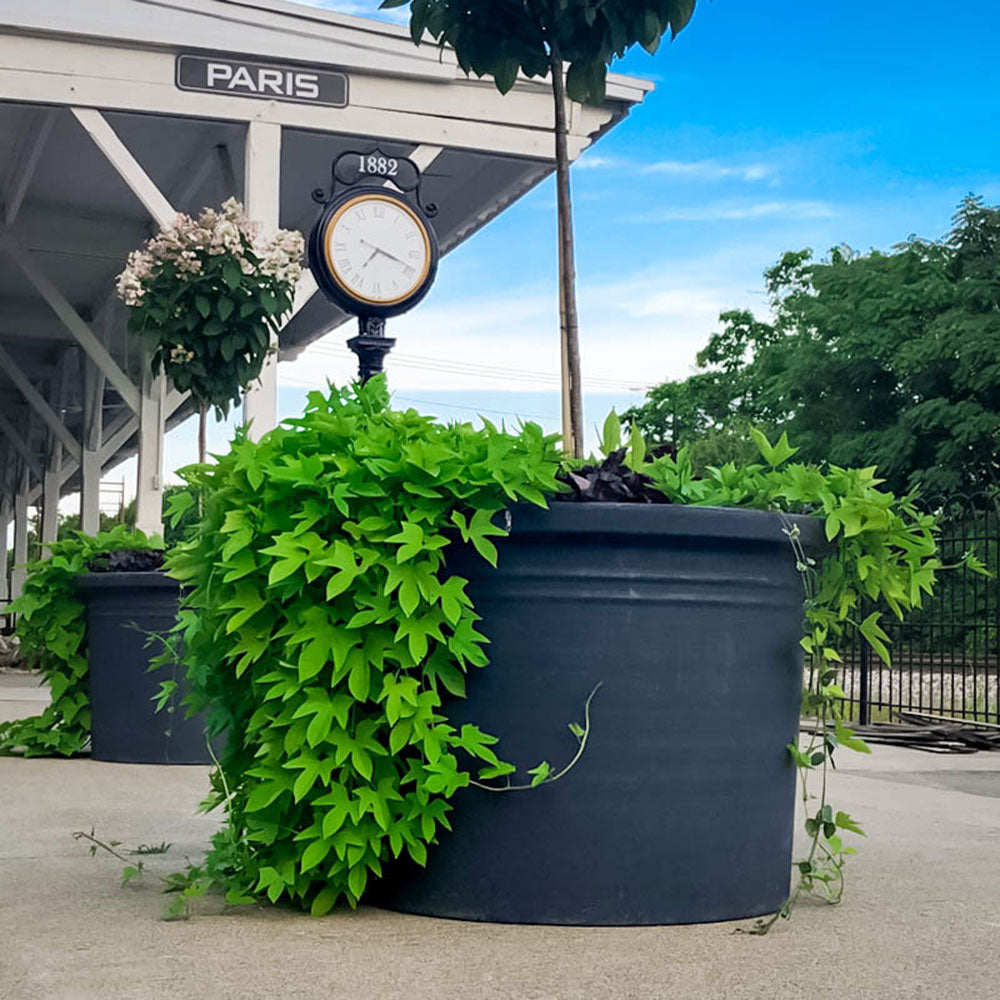 Curbside Cylinder Round Planter - 18.4x18.4x15 Product