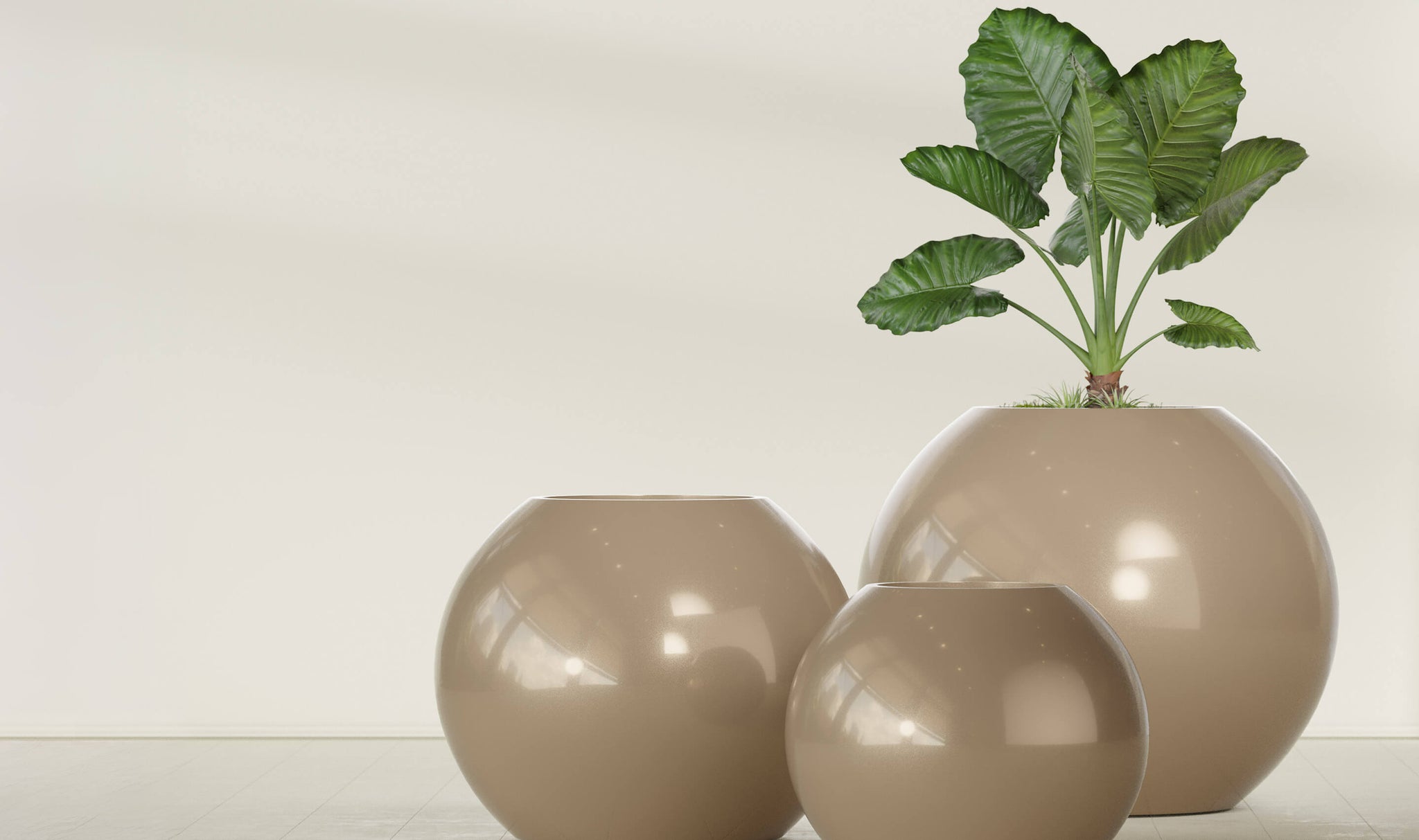 Wholesale Planters & Pots | Buy Commercial & Bulk Plant Pots