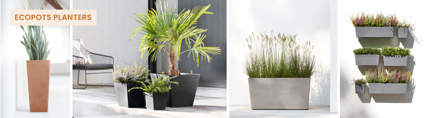 Ecopots Eco-Friendly Planters | Wholesale Prices & No Order Minimums ...