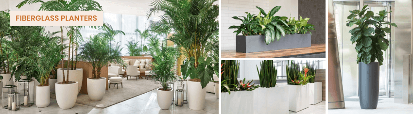 Fiberglass Planters, Plant Containers at Wholesale Prices - NewPro ...