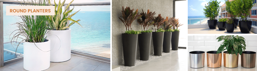 Large & Small Round Planter Pots - NewPro Containers