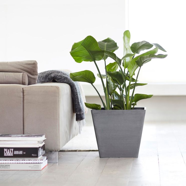 Outdoor Planters: Wholesale & Commercial Flower Pots in Bulk