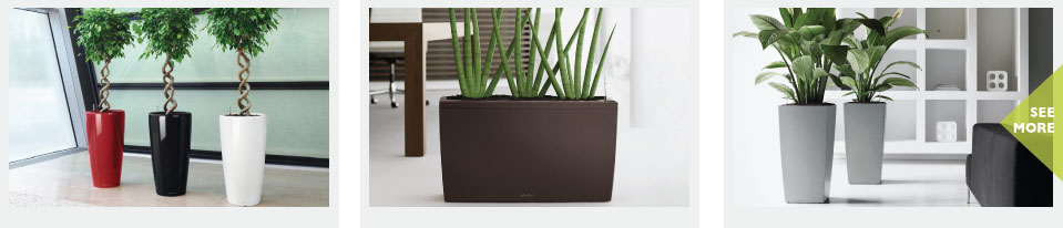 Wholesale Plant Containers, Commercial Planters, Flower Pots