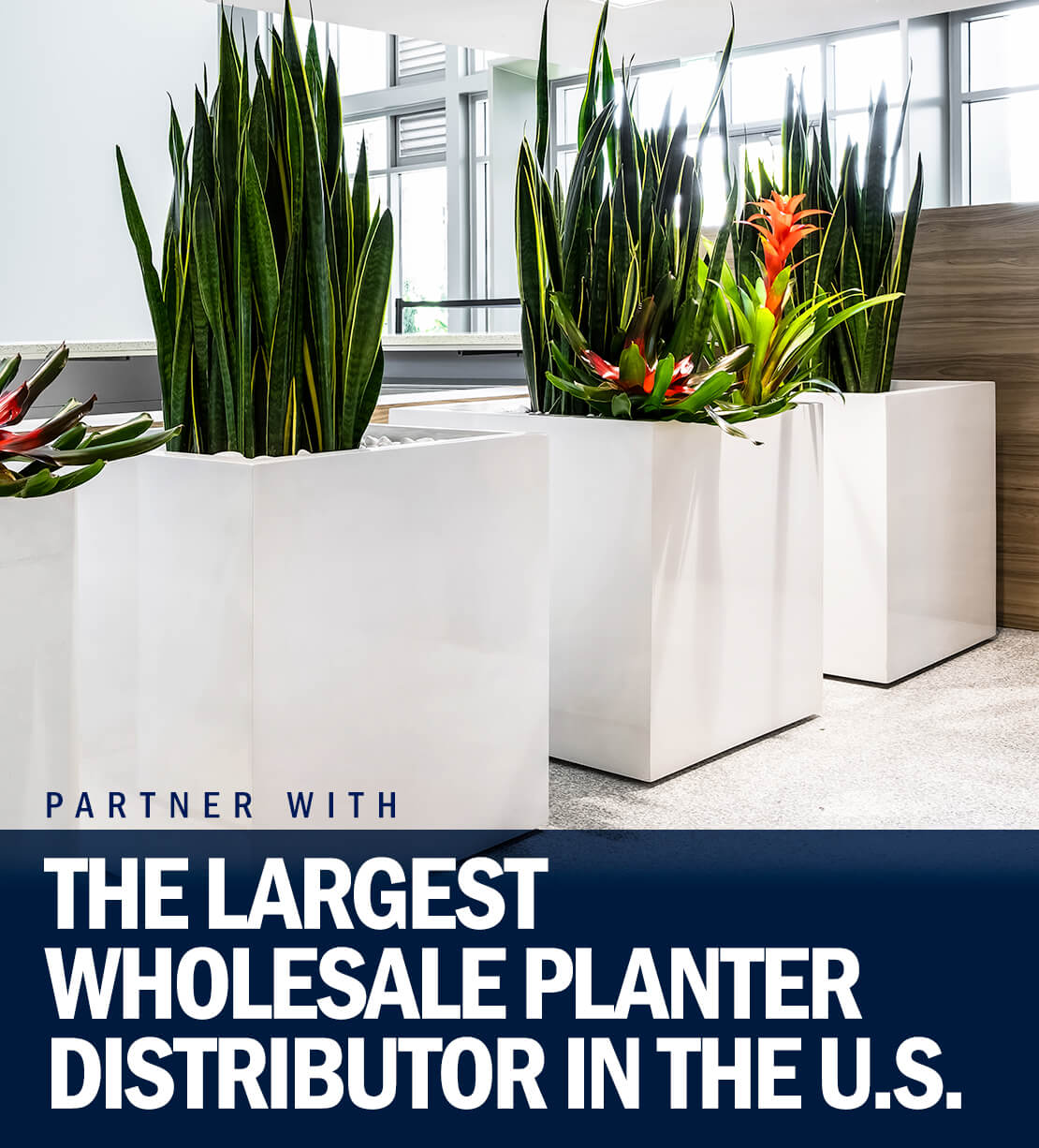Wholesale Planters & Pots | Buy Commercial & Bulk Plant Pots